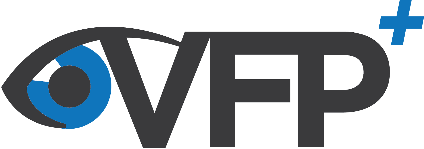 Team Training – VFP